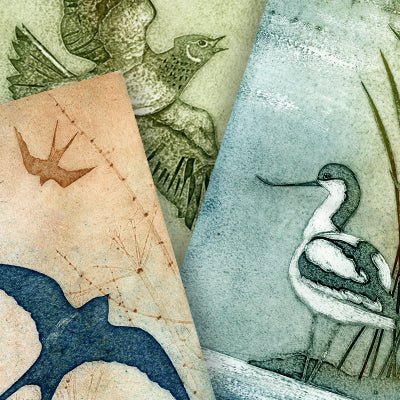 Birds - images by Kerry Buck Artist Printmaker