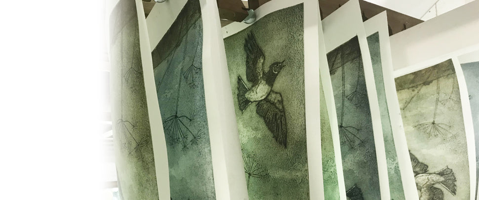 Kerry Buck – Kerry Buck Artist Printmaker